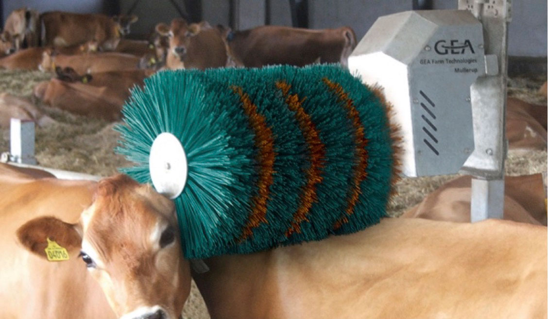 How is animal stress managed in livestock production ? What measures ...